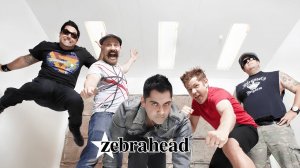 Zebrahead