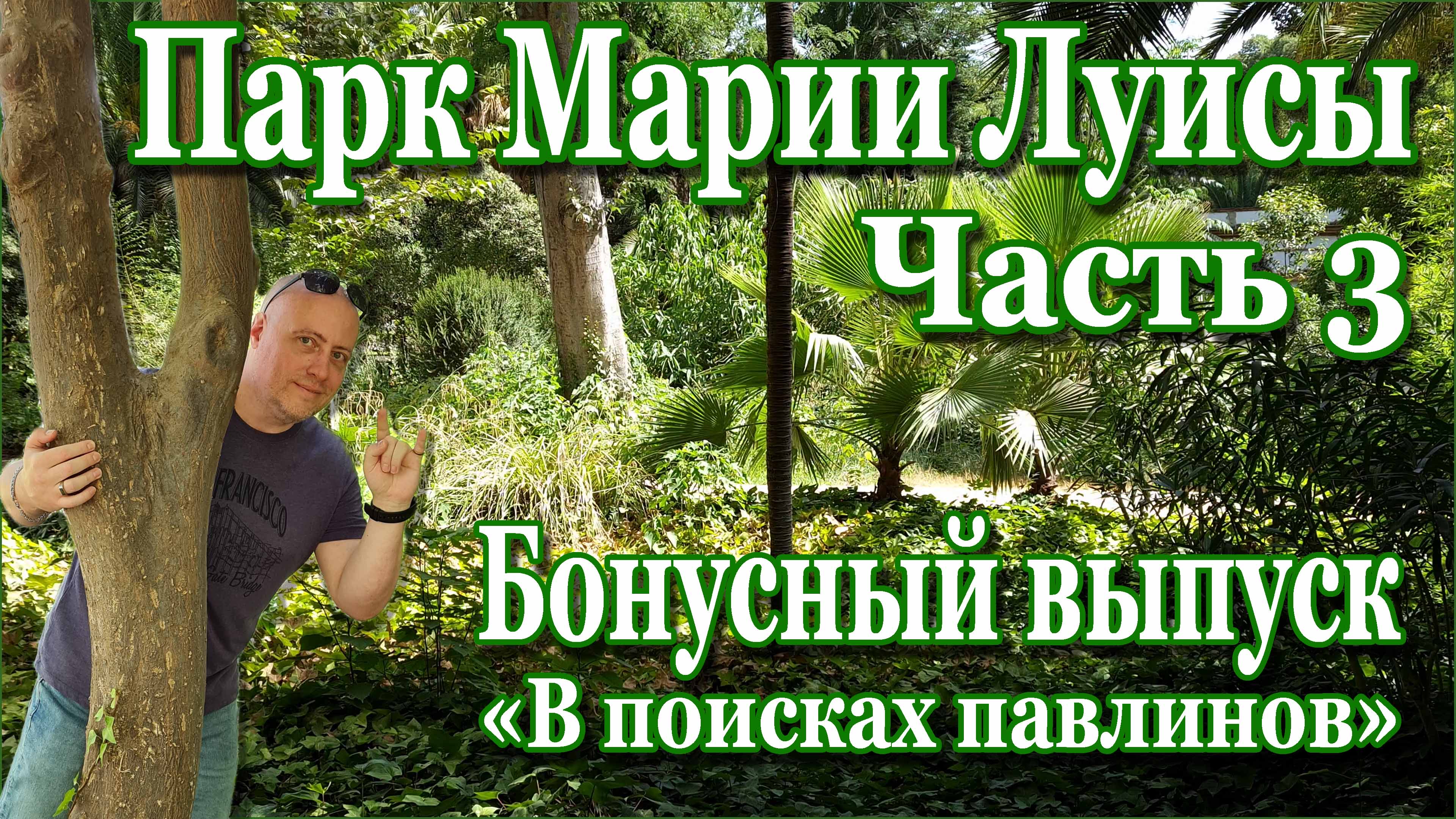 Парки Севильи – смотреть онлайн все 5 видео от Парки Севильи в хорошем  качестве на RUTUBE