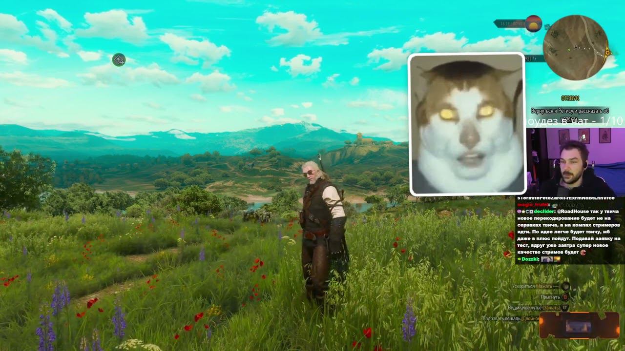 Roadhouse проходит Witcher 3