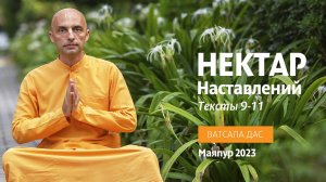 Нектар Наставлений Маяпур 2023