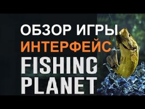 Курс для новичков по игре Fishing Planet