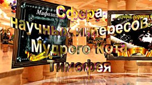 Мудрый Кот Тимофей! Способности Мудрого Кота Тимофея! Мудрый Кот Тимофей - Источник Знаний!