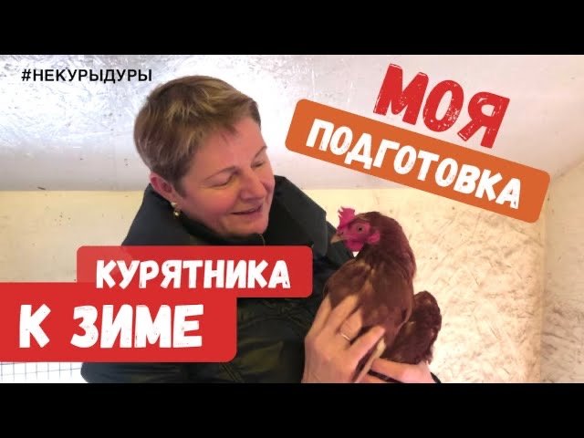 Зимний курятник своими руками: советы, секреты, фото и видео