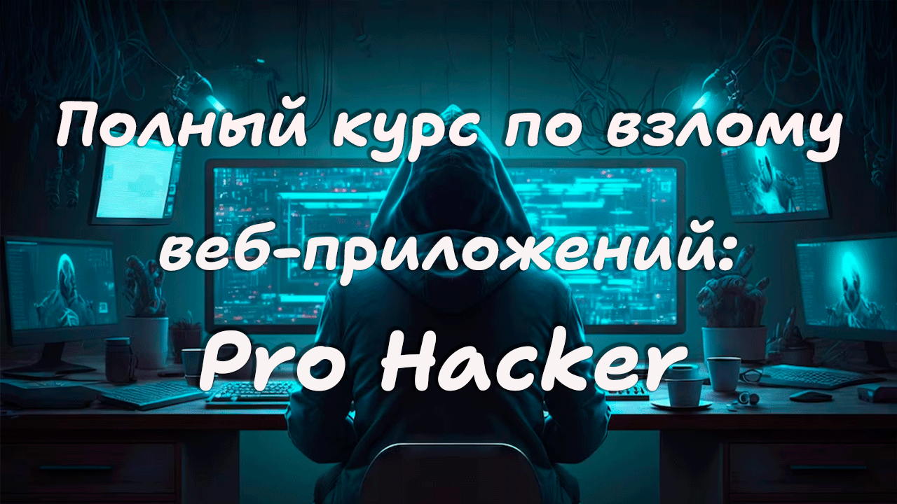 Полный курс по взлому веб-приложений: Pro Hacker