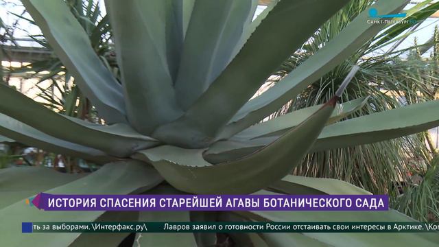 Ботанический сад