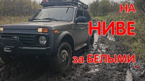 Выезды и Путешествия на НИВЕ с Ночевкой И Без #рыбалка #охота #грибы #ягоды #легенда #2121