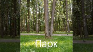 Альбом «Парк»