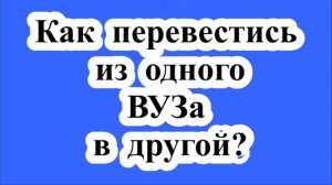 Образование. Стипендия. Питание.