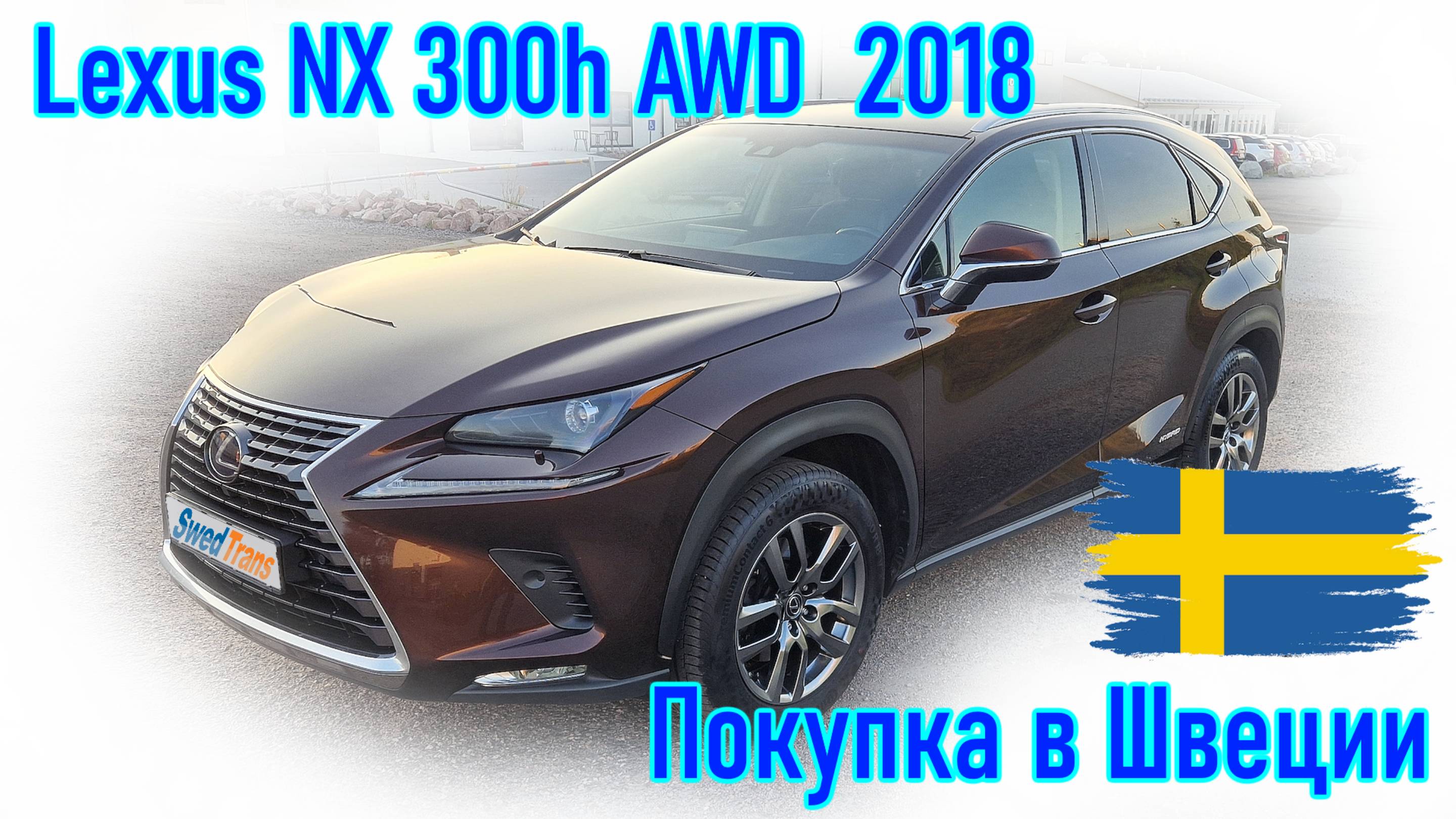 Lexus NX300H