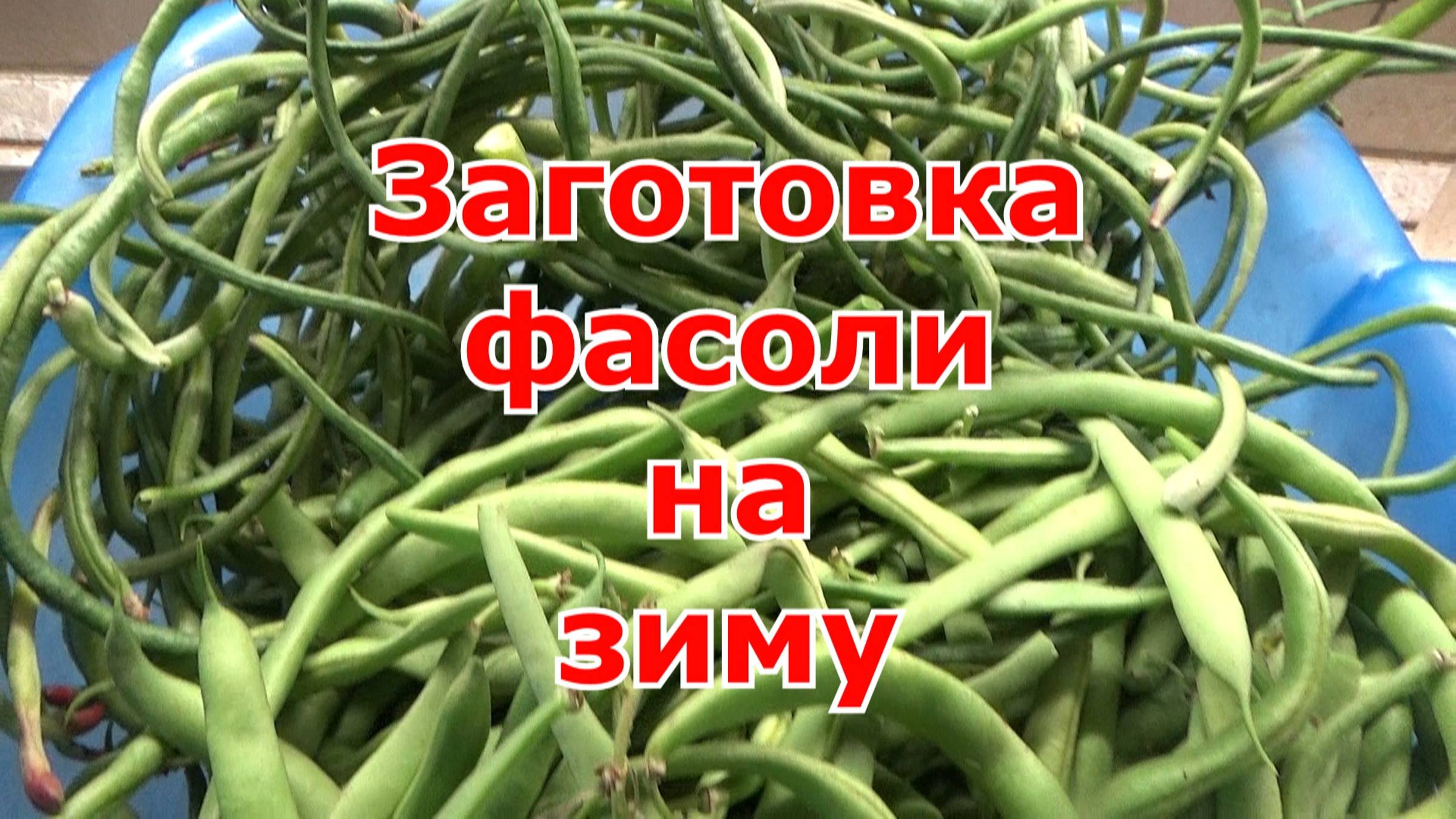 Горох, бобы, фасоль, вигна