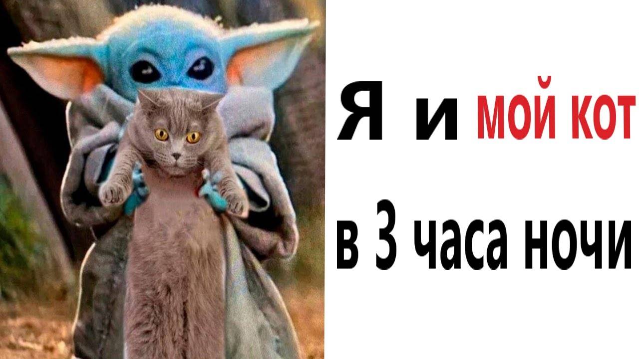 Приколы