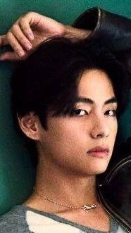 Kim Taehyung V