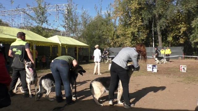 МОНО ВЕО АНТЕЙ, 21.09.24 г.