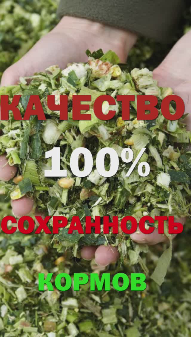 Промышленное животноводство