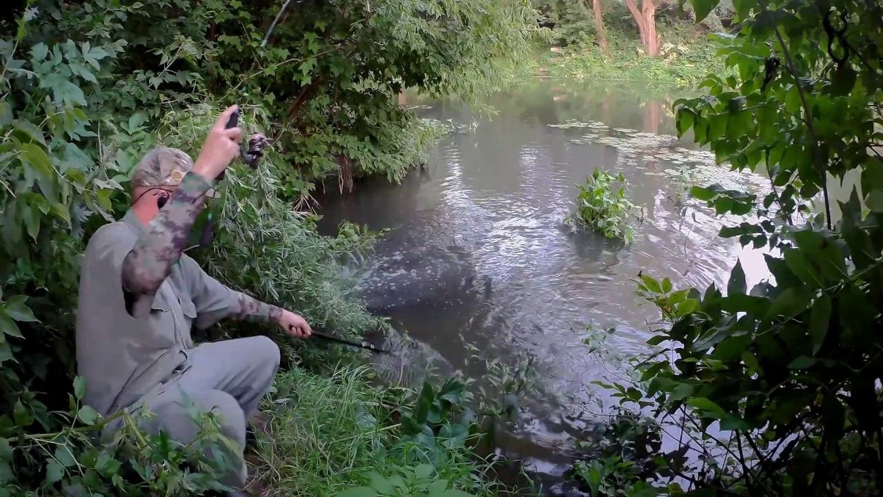 Видео с рыбалки