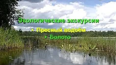 Экология. Пресный водоем. Болото. Лес. Луг