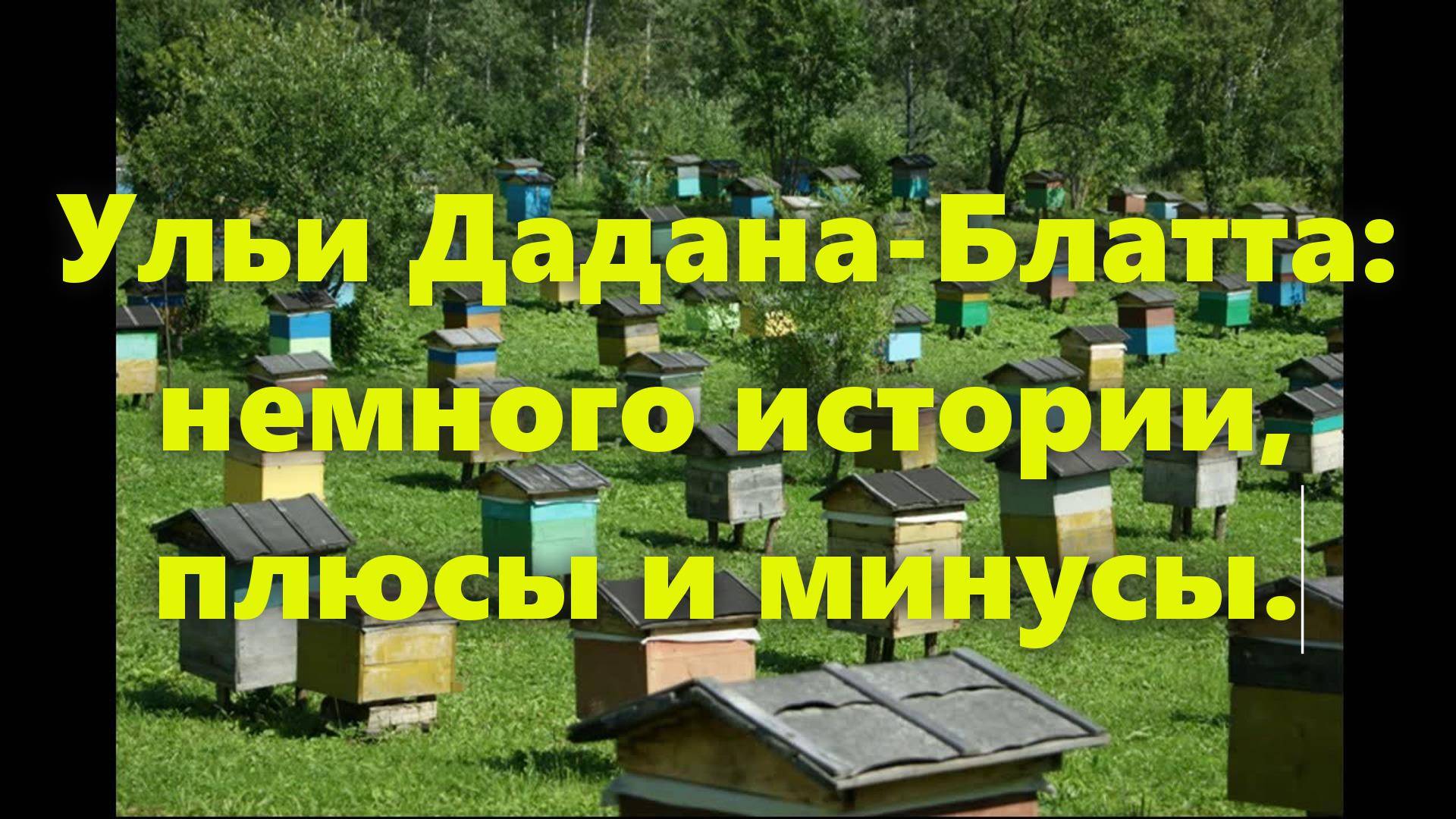 Пчеловодство для начинающих