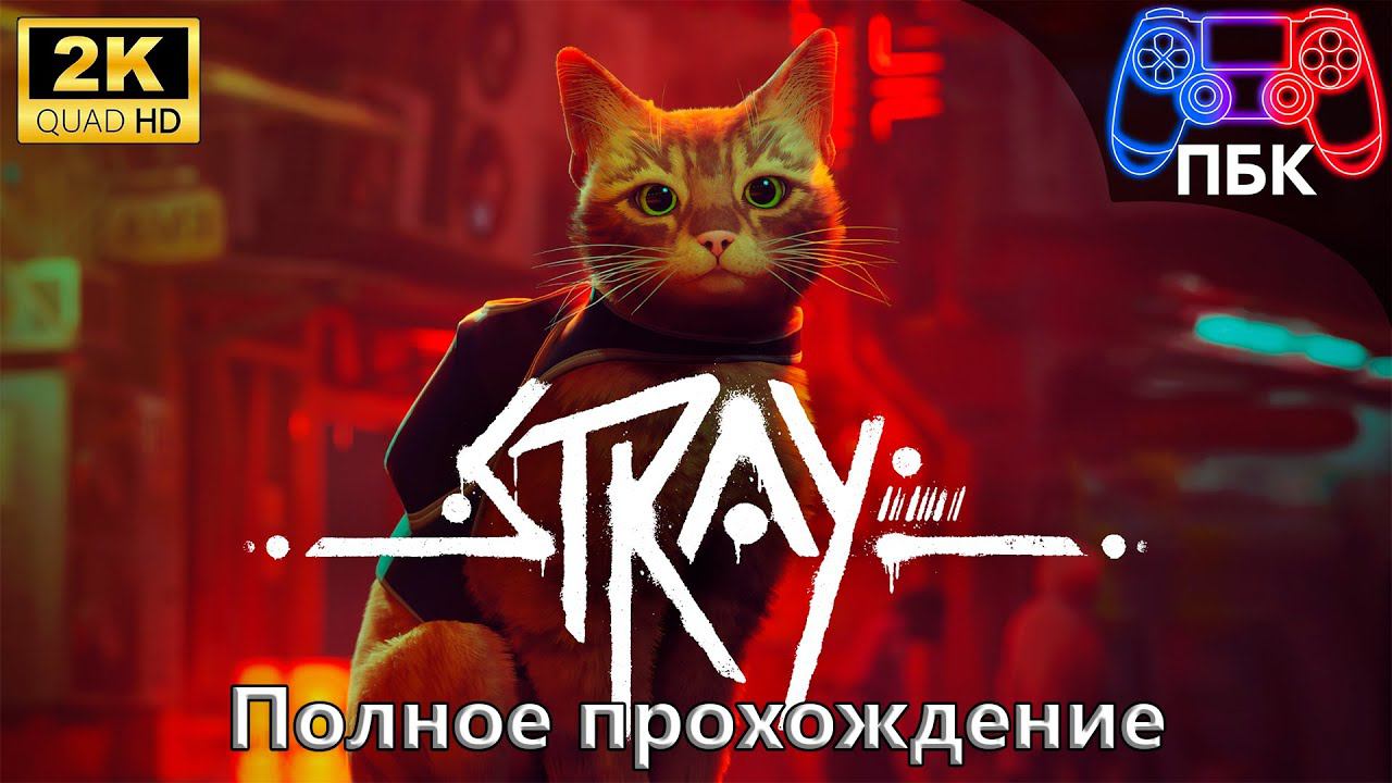 Stray