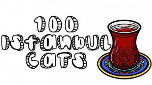 100 Istanbul Cats