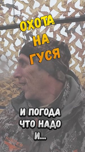 Охота на водоплавающую