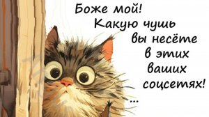 Котосборники - 24г.