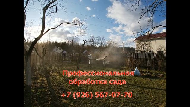 Обработка сада (защита растений) ОПРЫСКИВАНИЕ