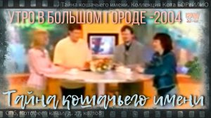 СПб, Котофеев канал, д. 27, кв. 108, Кот БОРzИЛИО