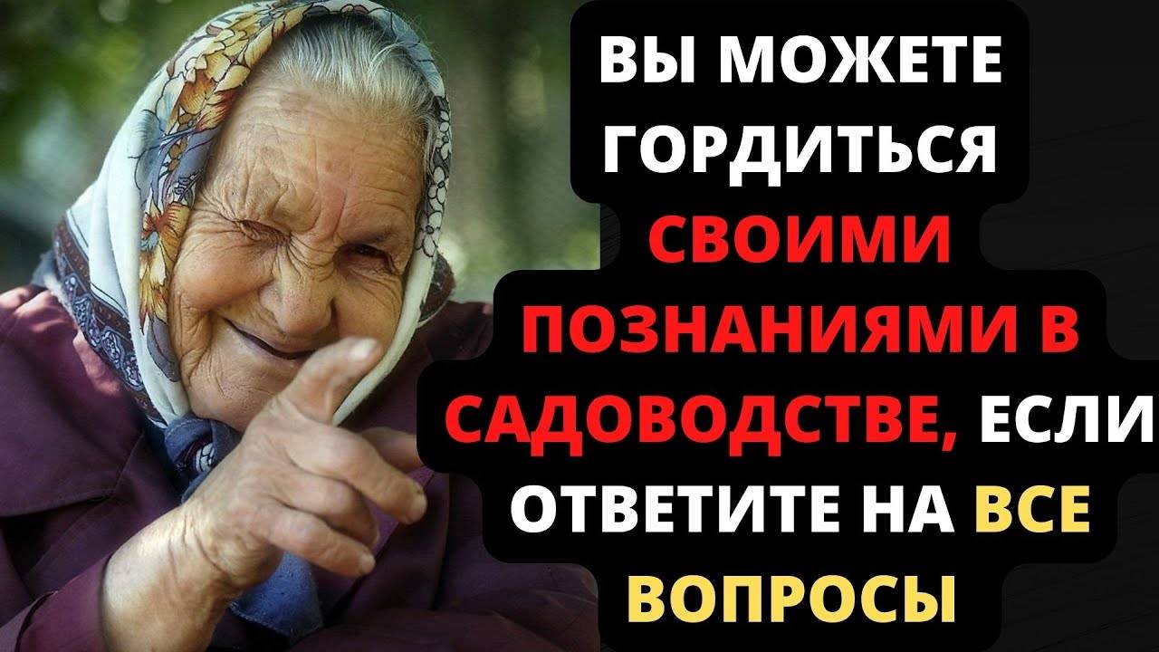Развлечения