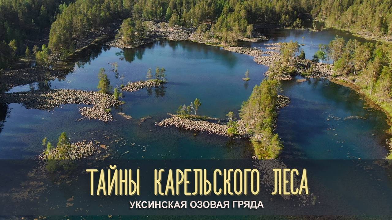 Тайны карельского леса