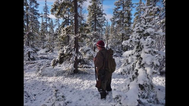 Мончегорск. Север. Осень 2024.