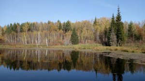 Самодельные примусы, горелки, печки-щепочницы.