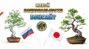 Философия бонсай