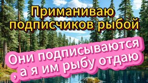 Мои рыбалки на Леща