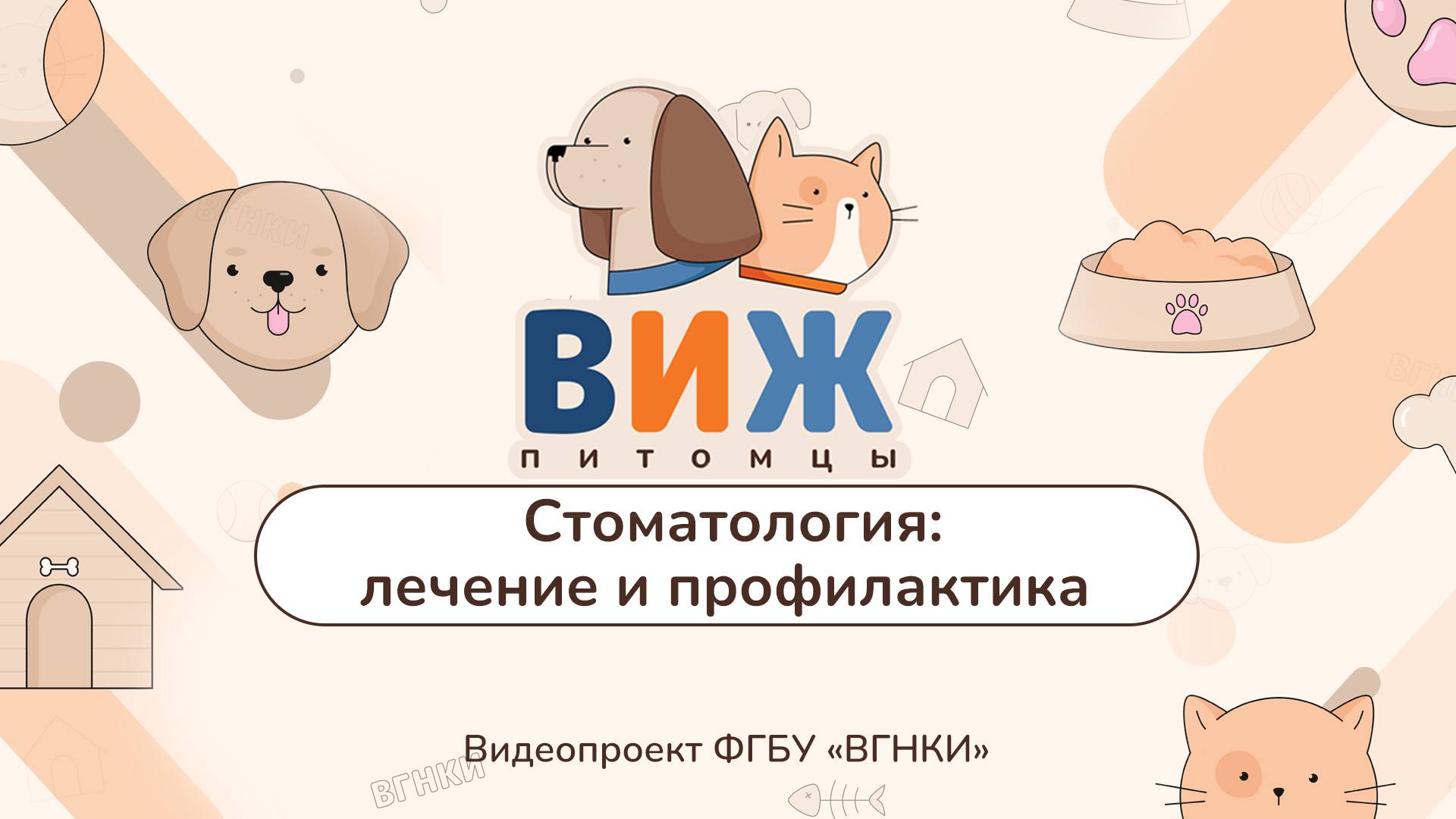 ВИЖ Питомцы