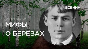 Тизеры к циклу фильмов ″Мифы о берёзах″. Берестяные письма в будущее (кратко).