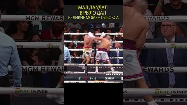 Лучшие Шортс ″Реального махача″