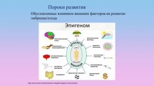 Школа здоровья по генетике