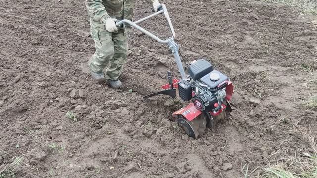 Проект Сапуново.