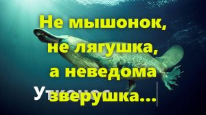 Политика в мире