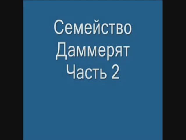 Наша Семья 2005год архив №1№2