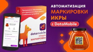 Как пользоваться ПО DataMobile