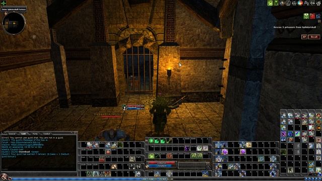 Dungeons &amp; Dragons Online: R1 + Elite + True Solo - Quest Level 3