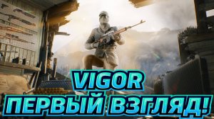 Vigor - Стримы