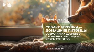 Научно-Информационный Центр (НИЦ)