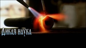 Дикая наука