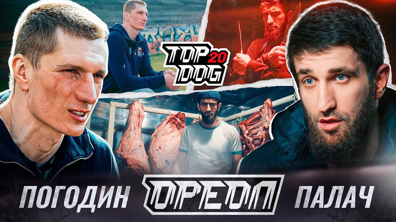 TOP DOG: Ореол