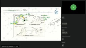 Управление проектами (Аверина) (2024-2025)