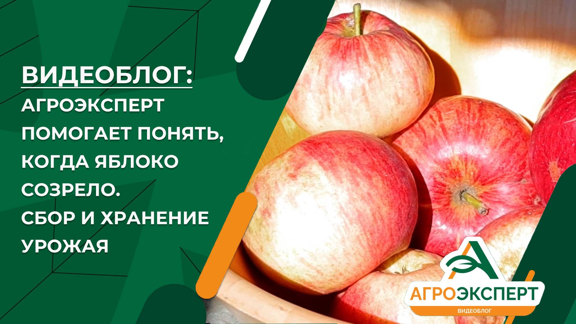 Агроэксперт помогает