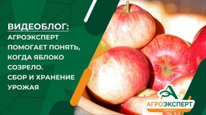 Агроэксперт помогает