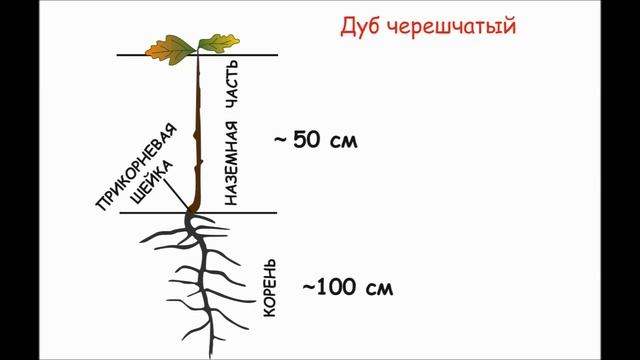 Детям: Лаборатория природы